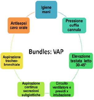 Competenze Infermieristiche Avanzate ed E.B.P. : prevenzione delle VAP ( Ventilation Associated ...